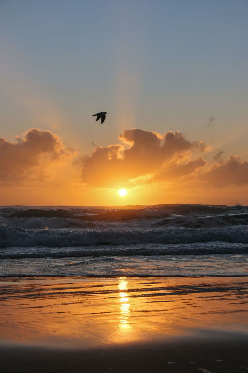 Surfers Paradise sunrise | GANREF