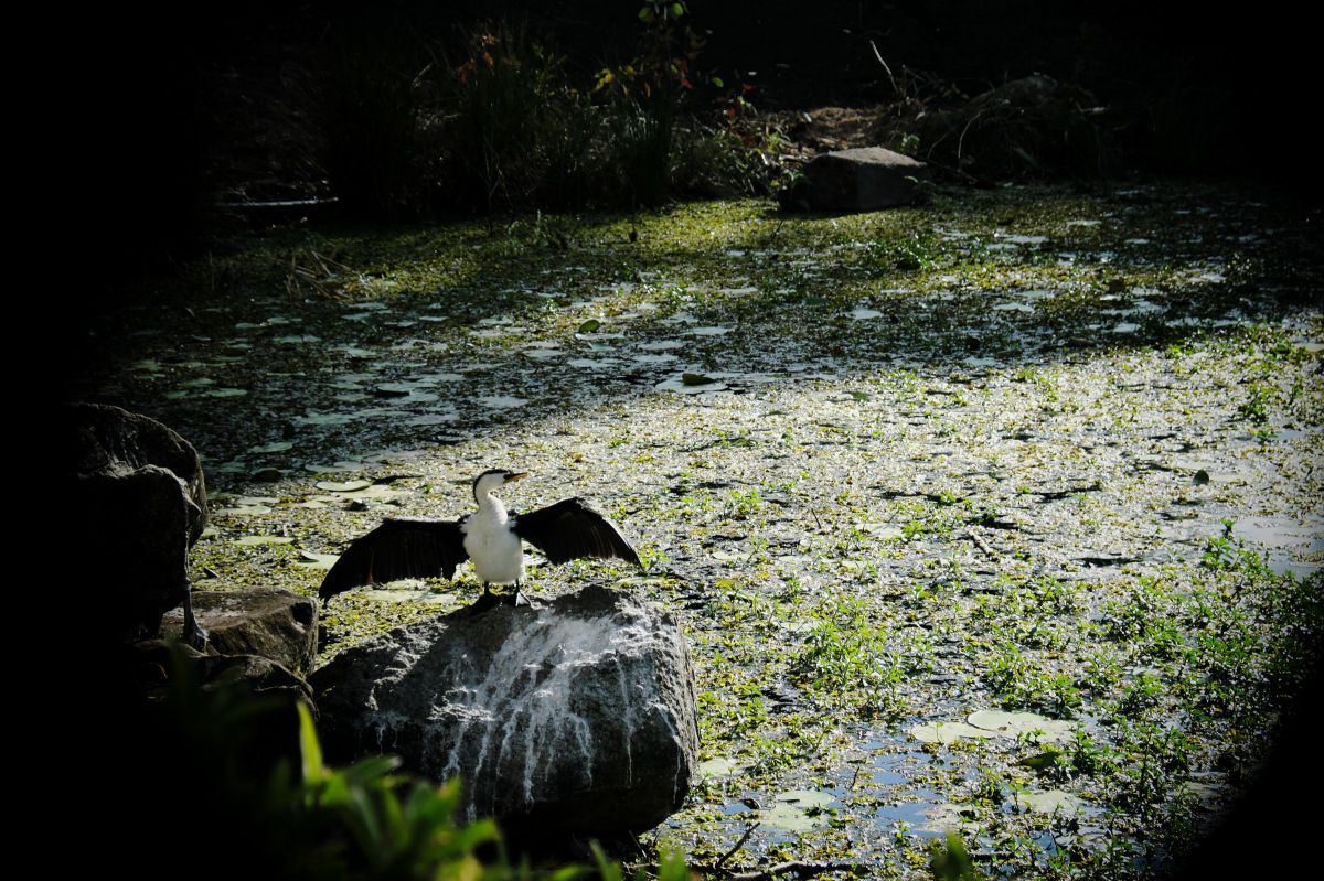 I'm not a statue. | GANREF