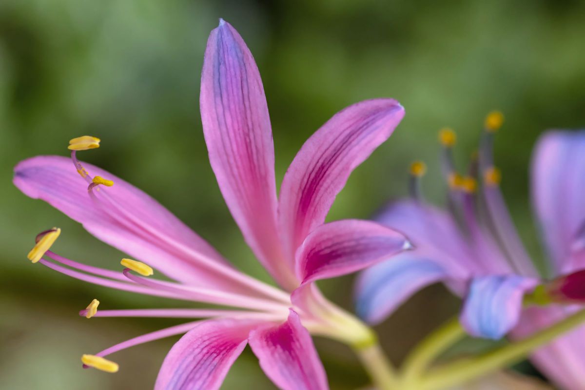 change [B] standpoint | GANREF