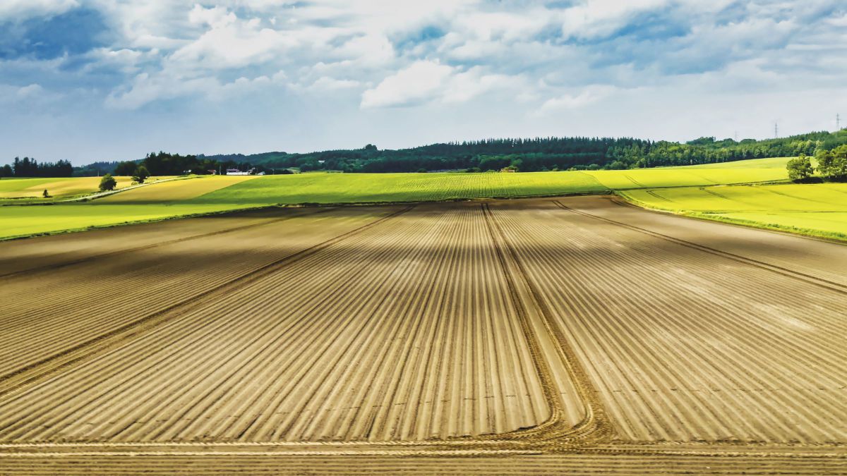 Ground ／車窓から／3／ | GANREF