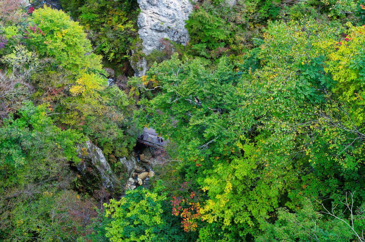 渓谷美／錦秋の鳴子峡 case 2 | GANREF