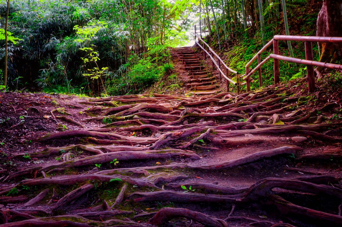 中尊寺 vol.1 ／ KAIDAN | GANREF