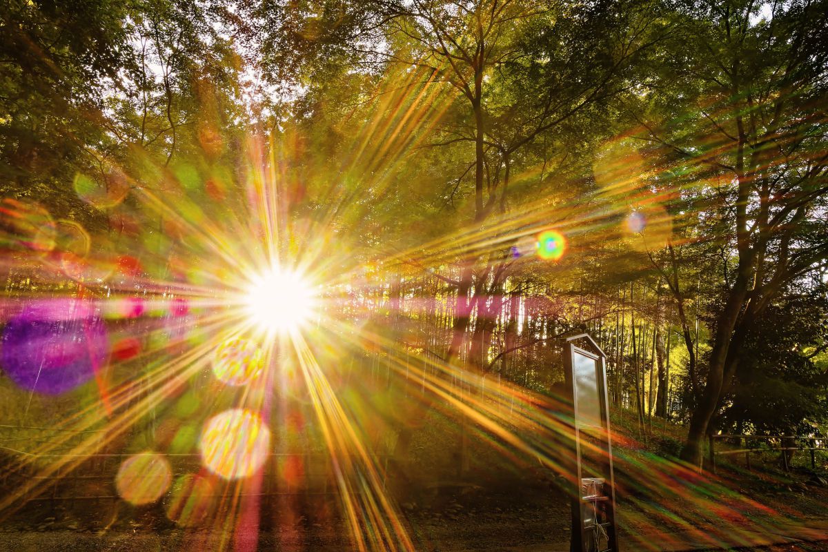 中尊寺 vol.2 ／ KOMYO | GANREF