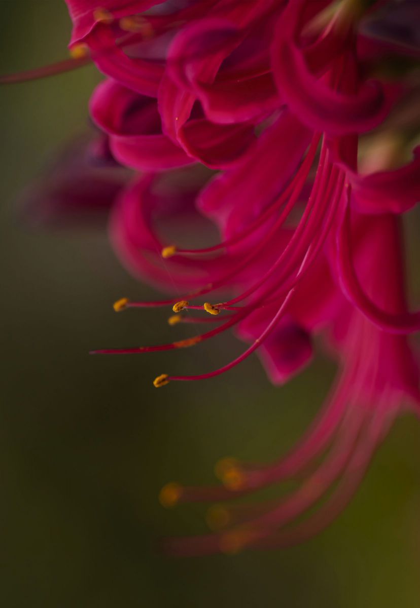 change [A] standpoint | GANREF