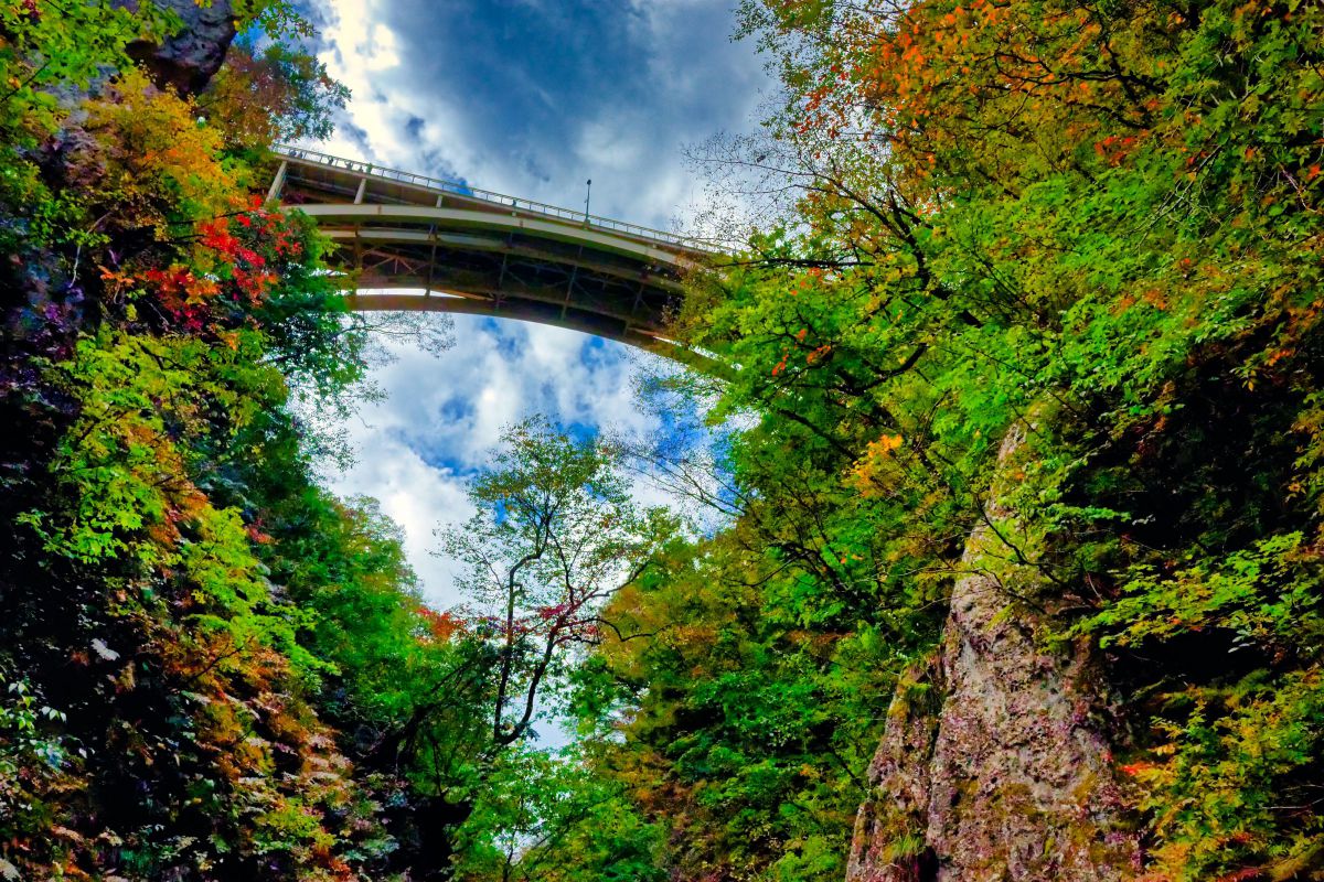 渓谷美／錦秋の鳴子峡 case 3 | GANREF