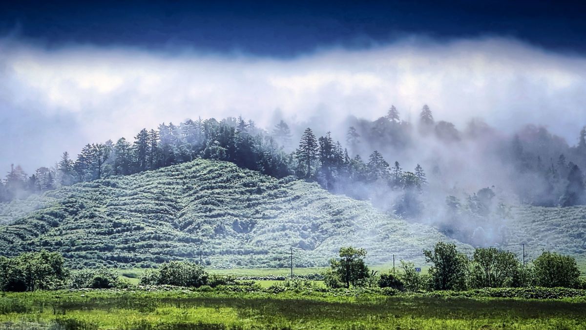 Mist ／車窓から／2／ | GANREF