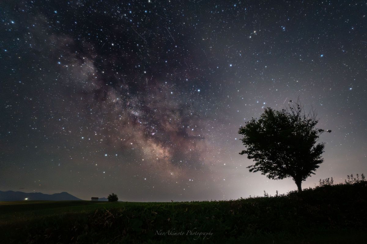 A Midsummer Night's Dream. | GANREF