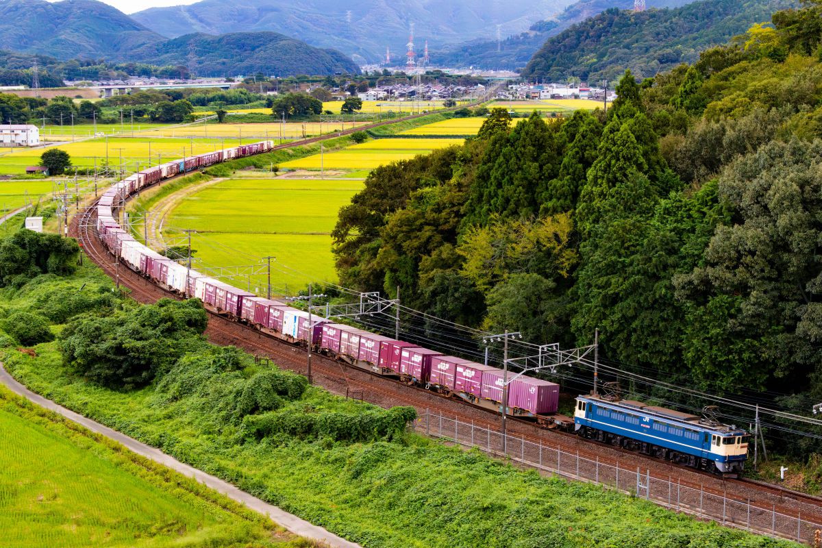 岩脇山俯瞰(EF65) | GANREF