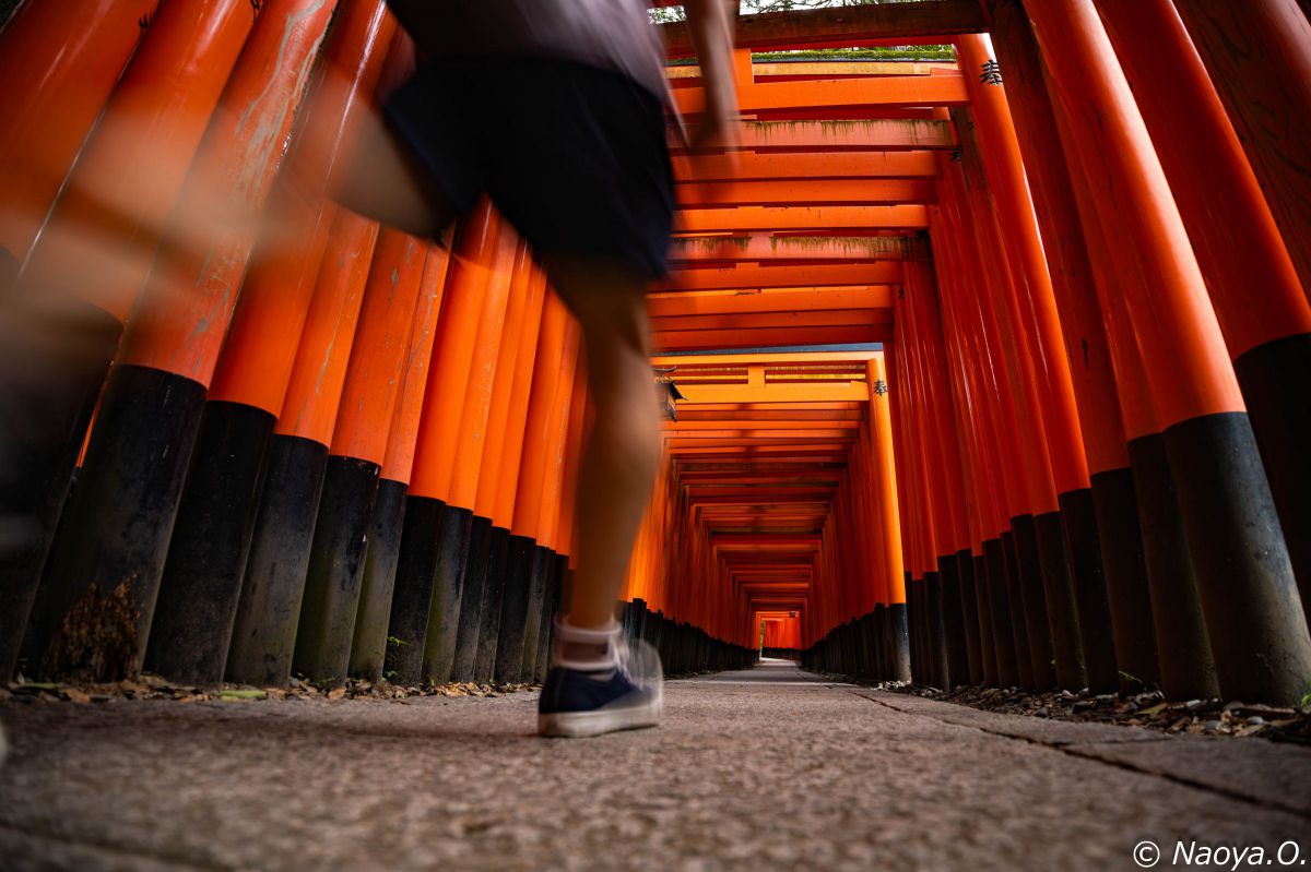 千本鳥居を颯爽と駆け抜けて | GANREF