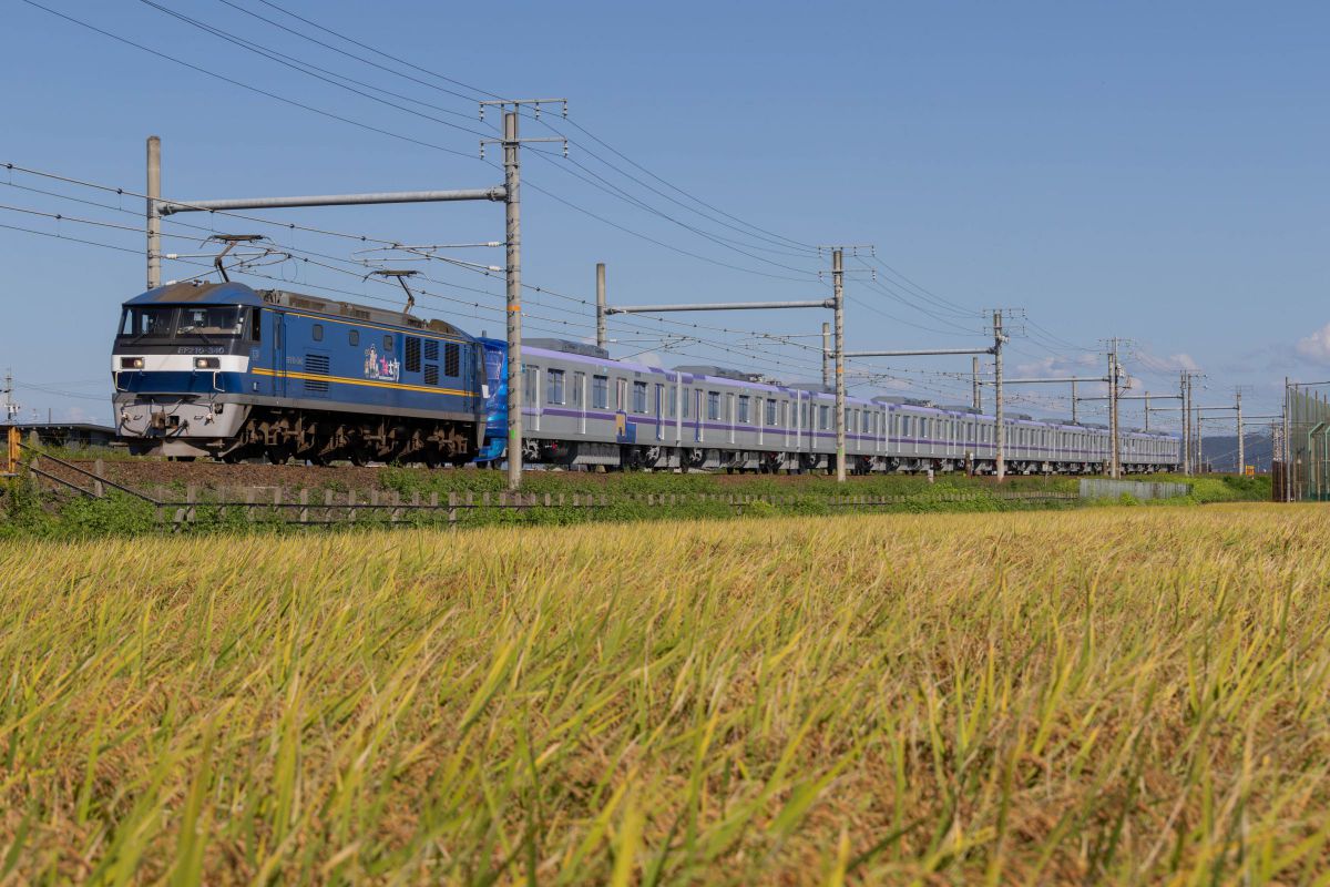 秋の東海道線を下る東京メトロ半蔵門線18000系甲種輸送 | GANREF