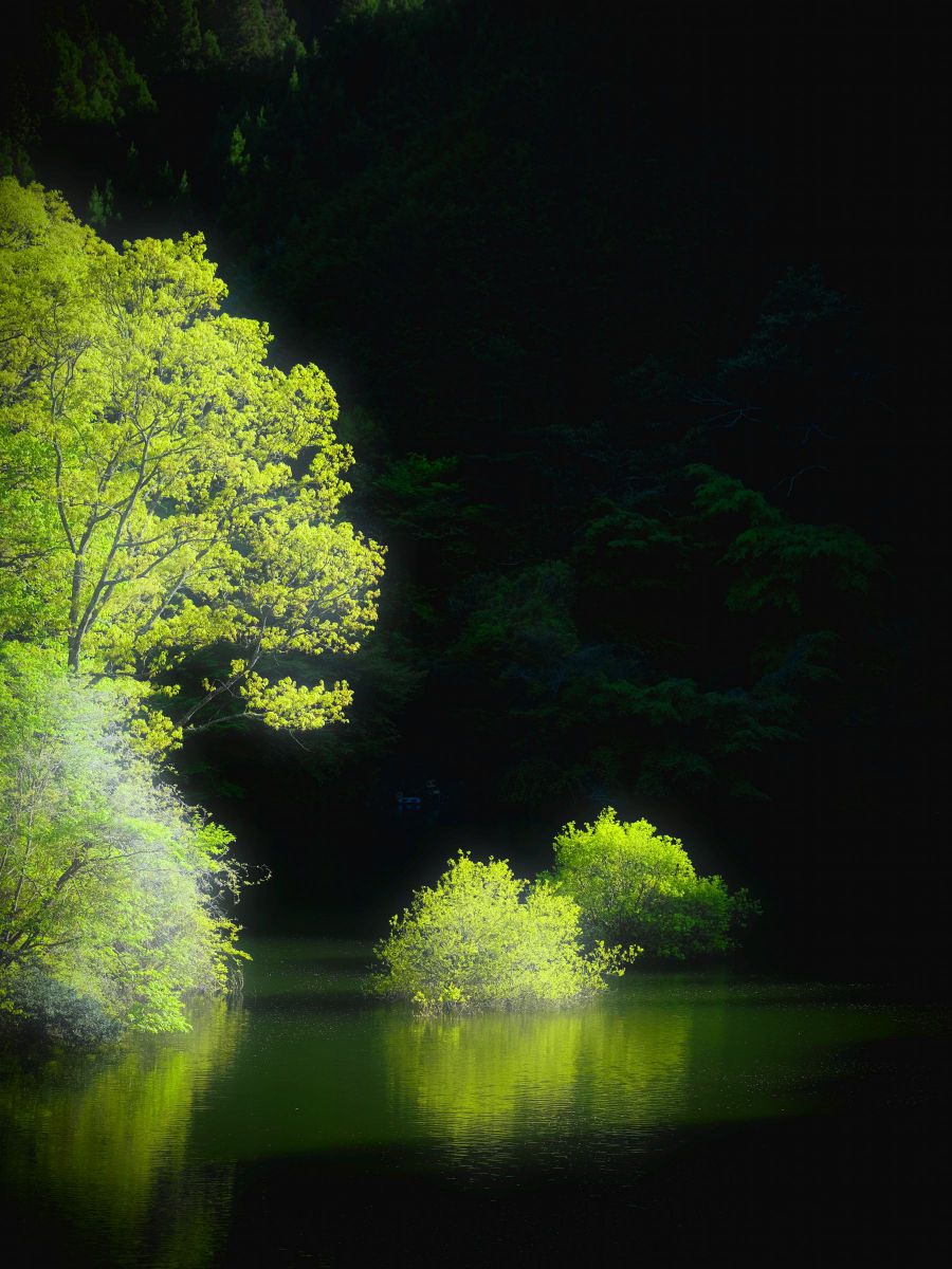 室生湖の水没林2023 | GANREF