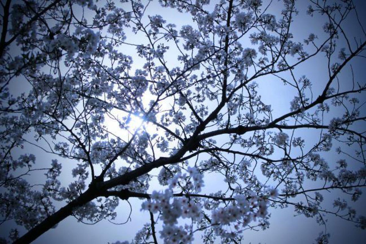 IMG_20240408_191757_017.jpg | GANREF