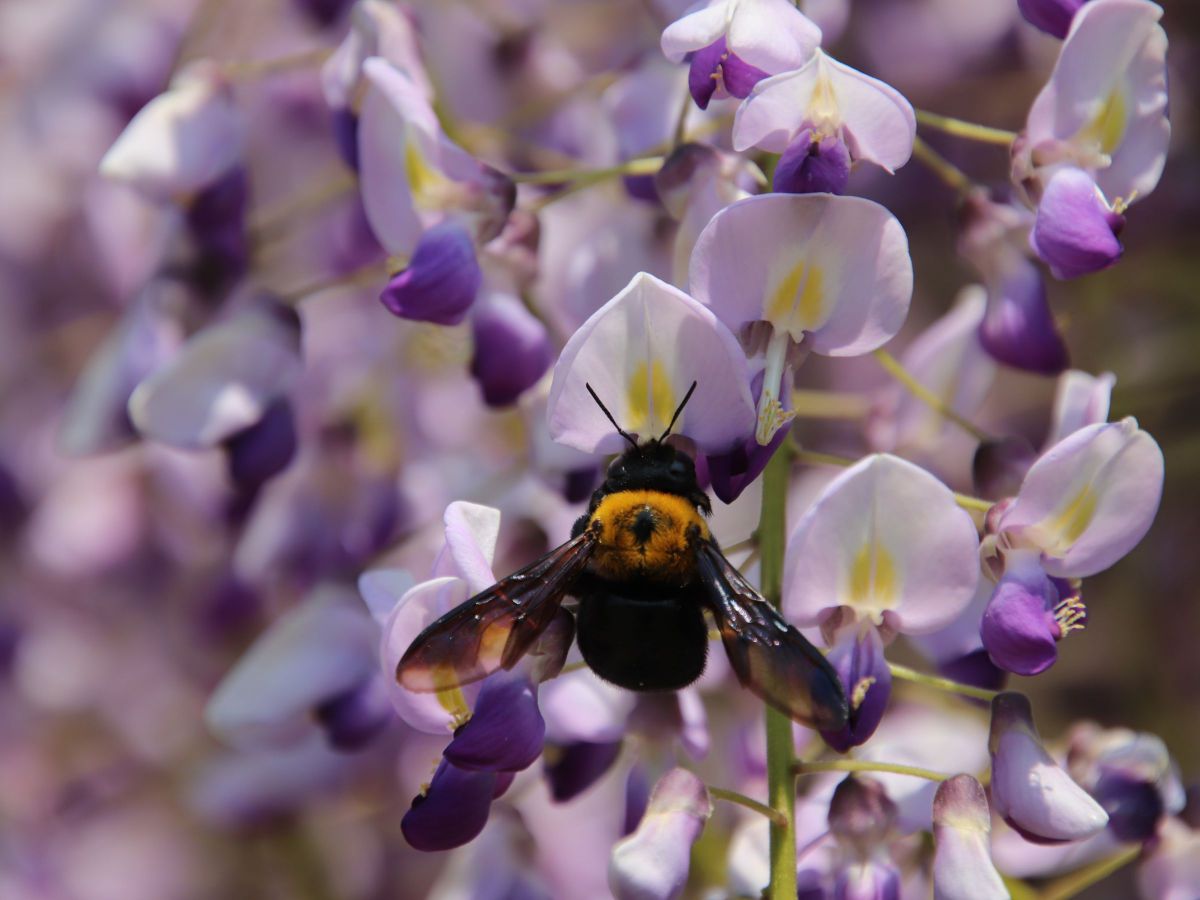 純喫茶・藤へようこそ♪ | GANREF