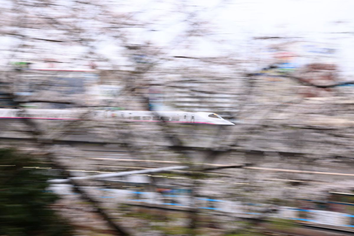 E2系と桜 | GANREF