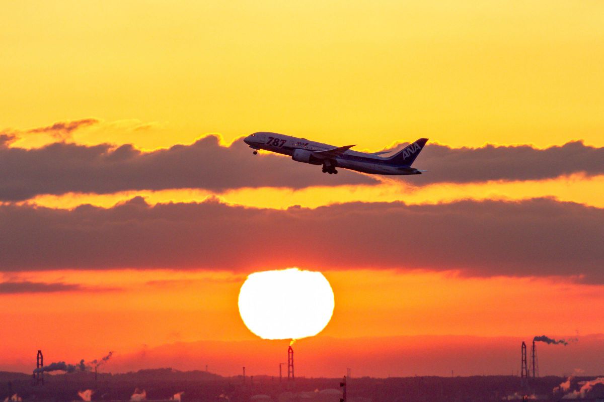 morning flight | GANREF