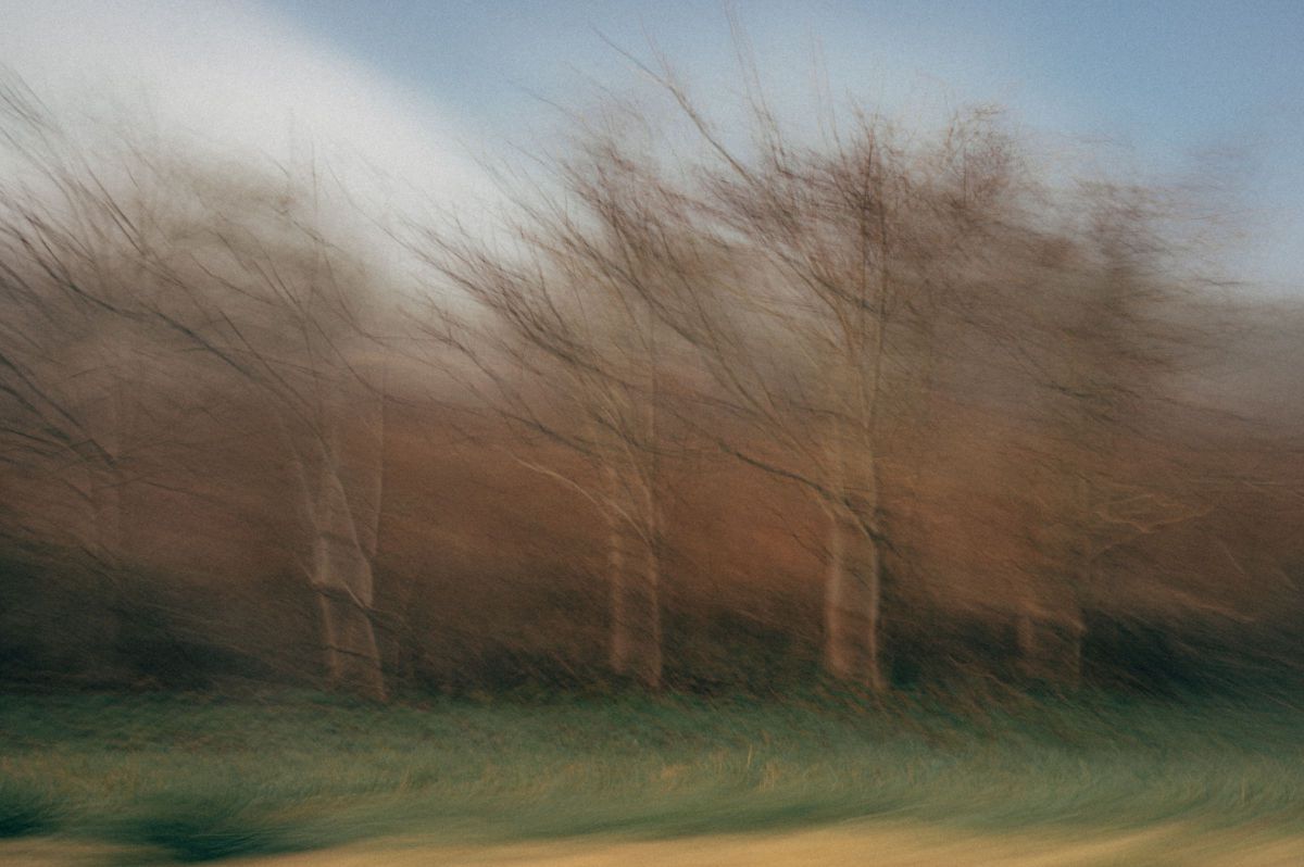 荒れ狂う | GANREF