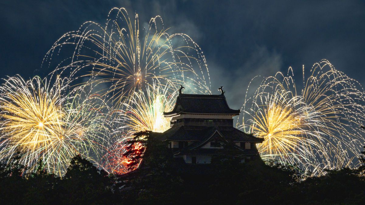 パッと光って咲いたHANABI | GANREF