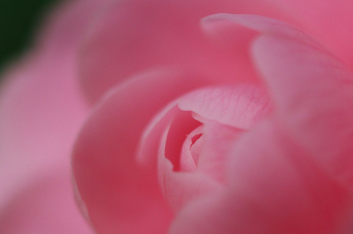 ささやき | GANREF