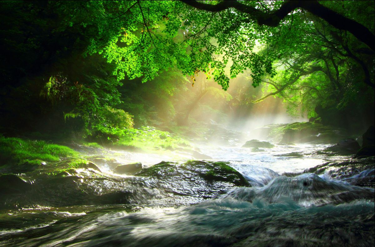 菊池渓谷光芒 | GANREF