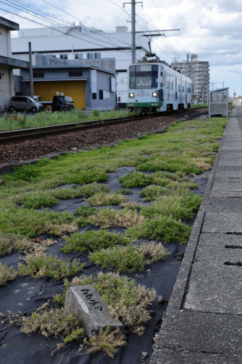 『フクテツ』 | GANREF