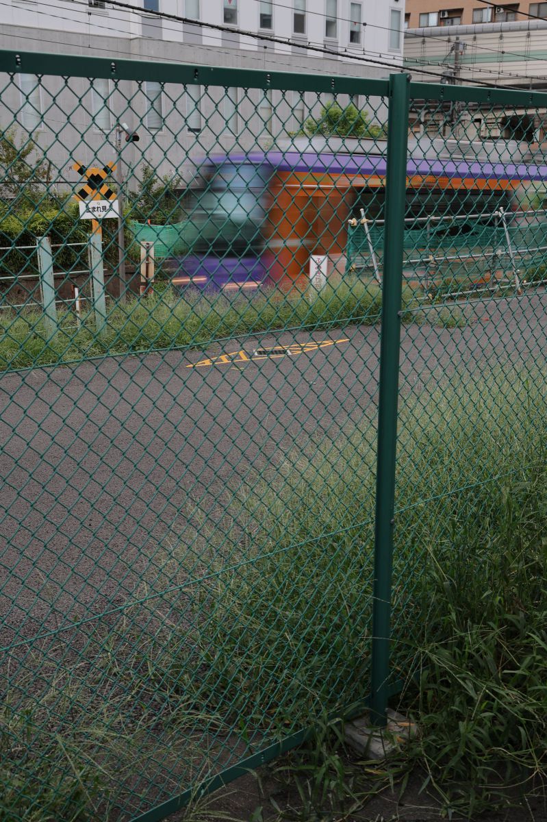 柵越しの踏切 | GANREF