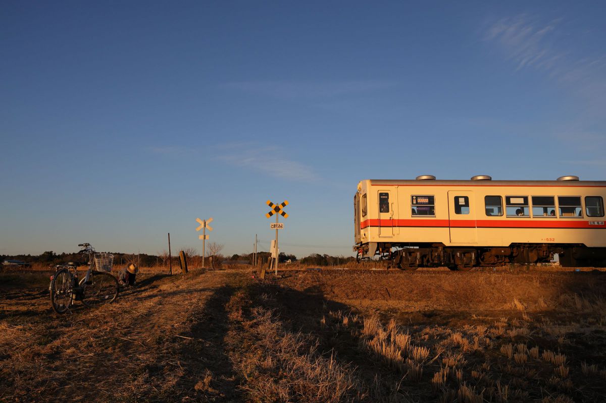 全長4.5キロメートル【4】 | GANREF