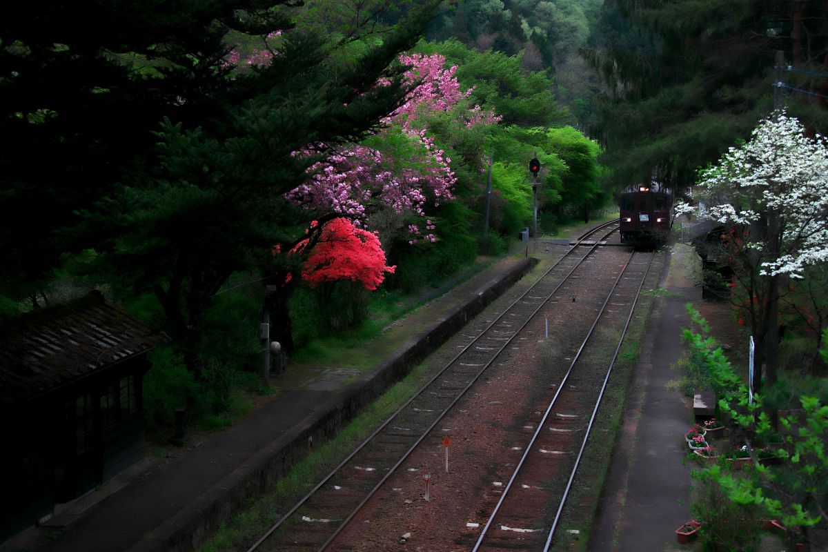 晩春から初夏へと | GANREF