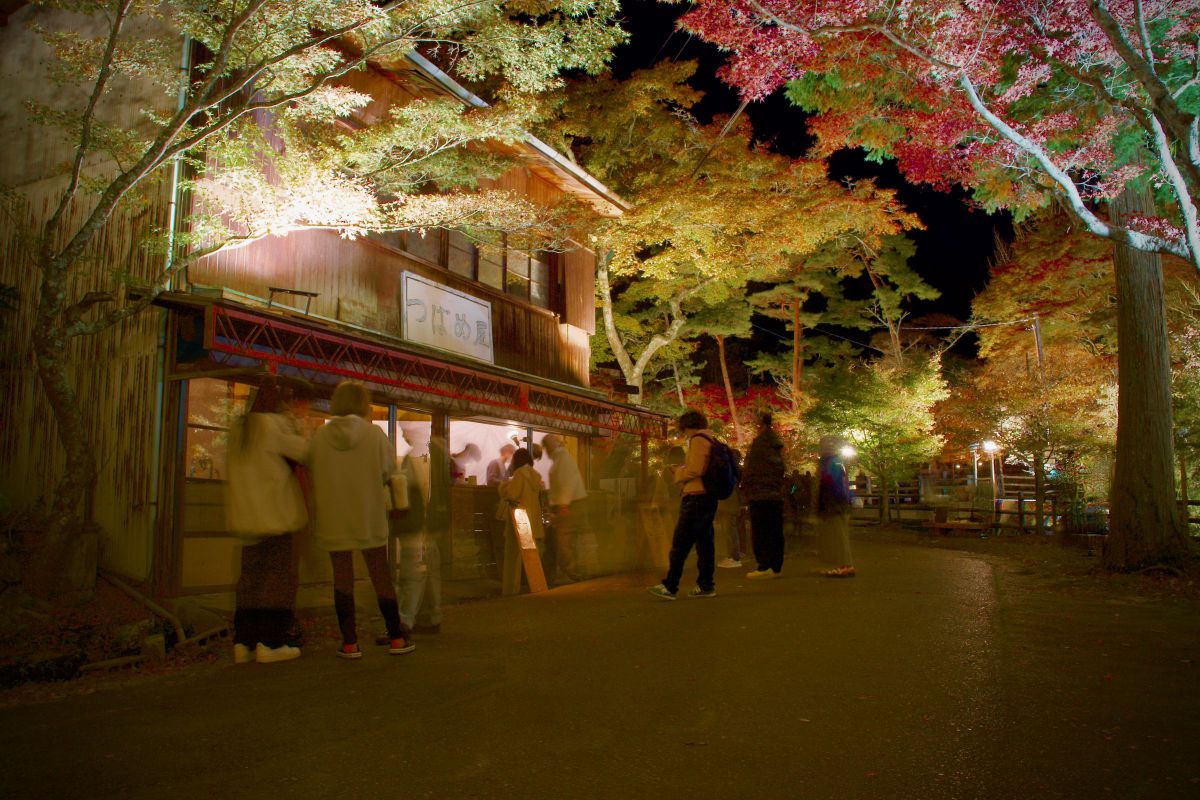 紅葉の岩屋堂公園 | GANREF