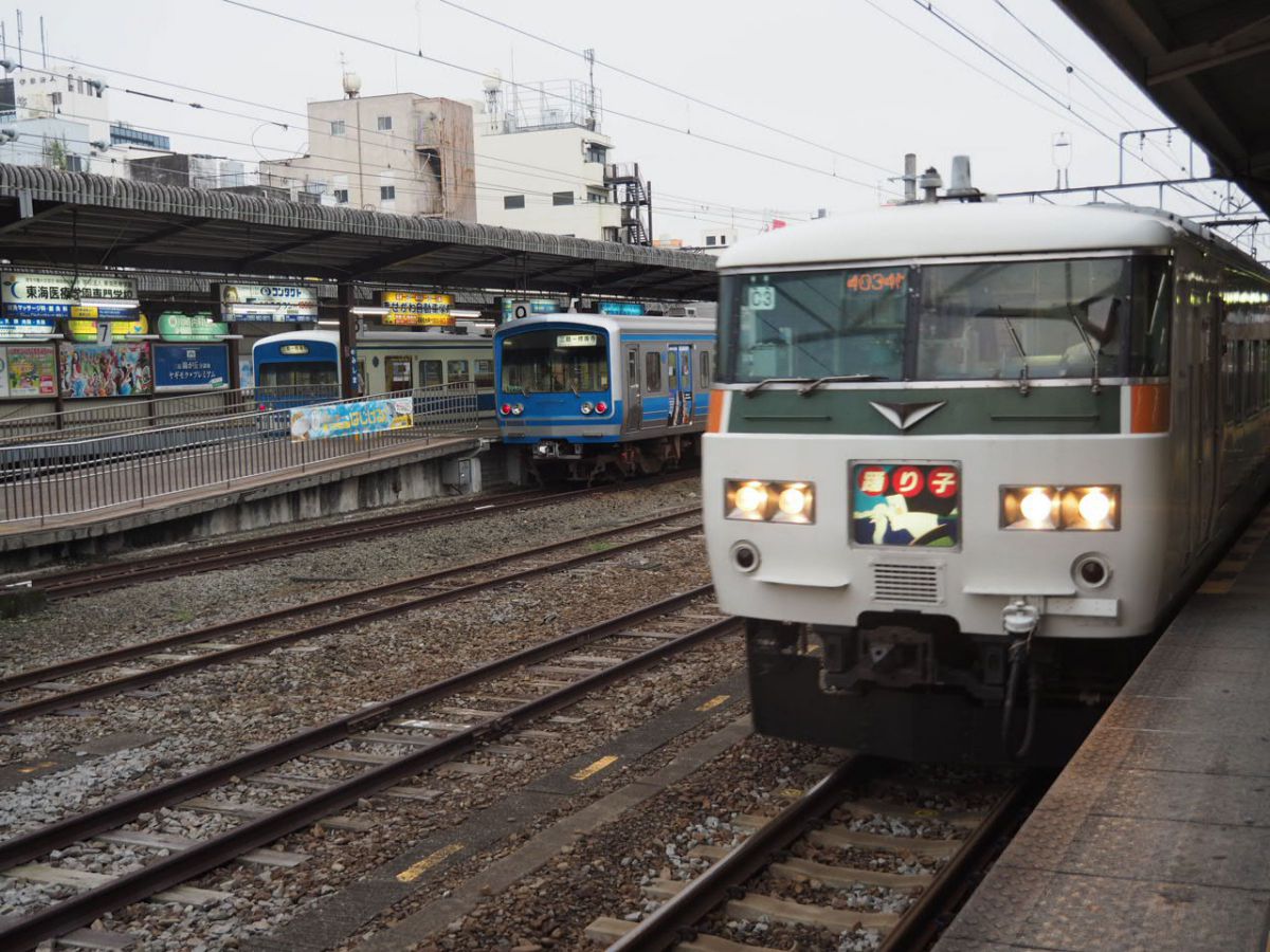 2016 185系修善寺乗り入れ踊り子号 | GANREF