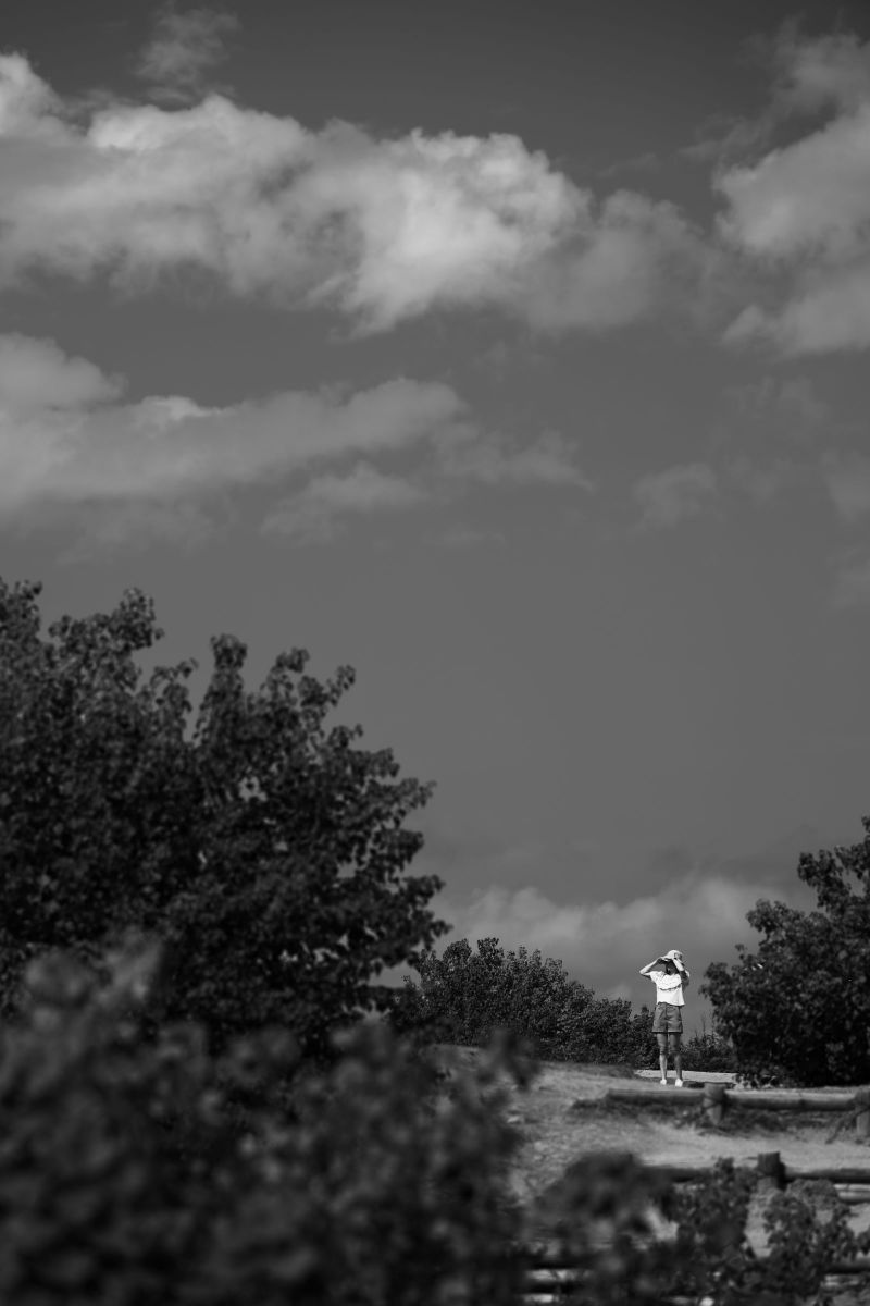 Endless Summer | GANREF