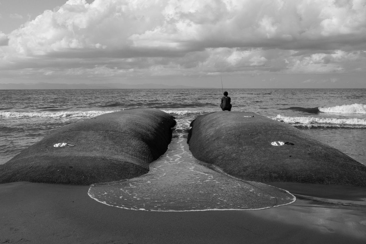 through the gap | GANREF