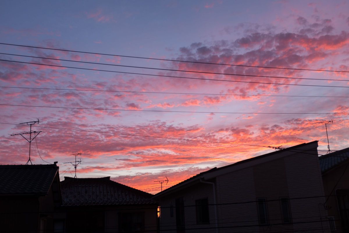 good day, good bye | GANREF