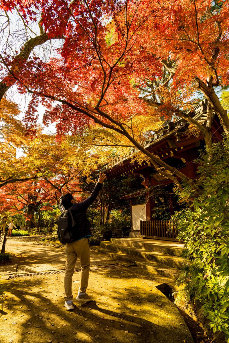 スバラシイ！ | GANREF