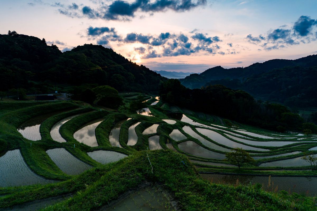 大山千枚田の夜明け2025 | GANREF