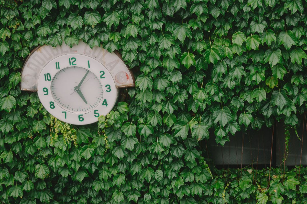 Green clock | GANREF