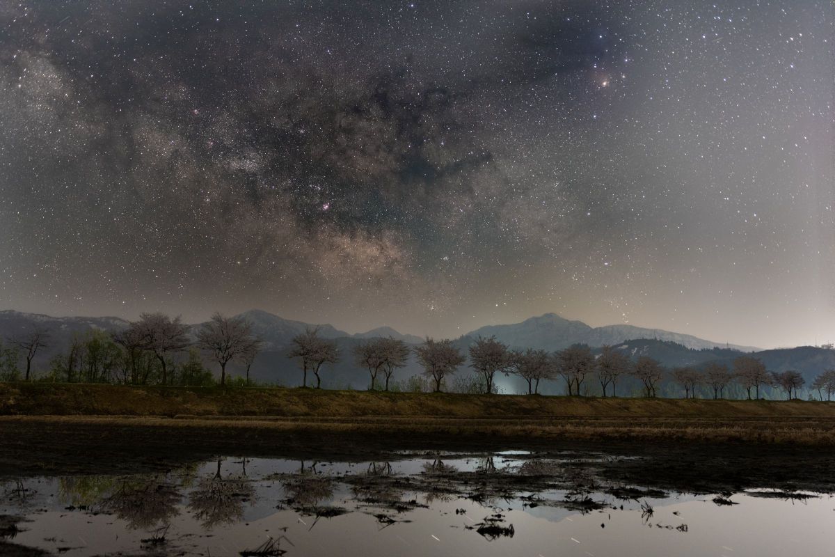 田んぼリフレクション | GANREF