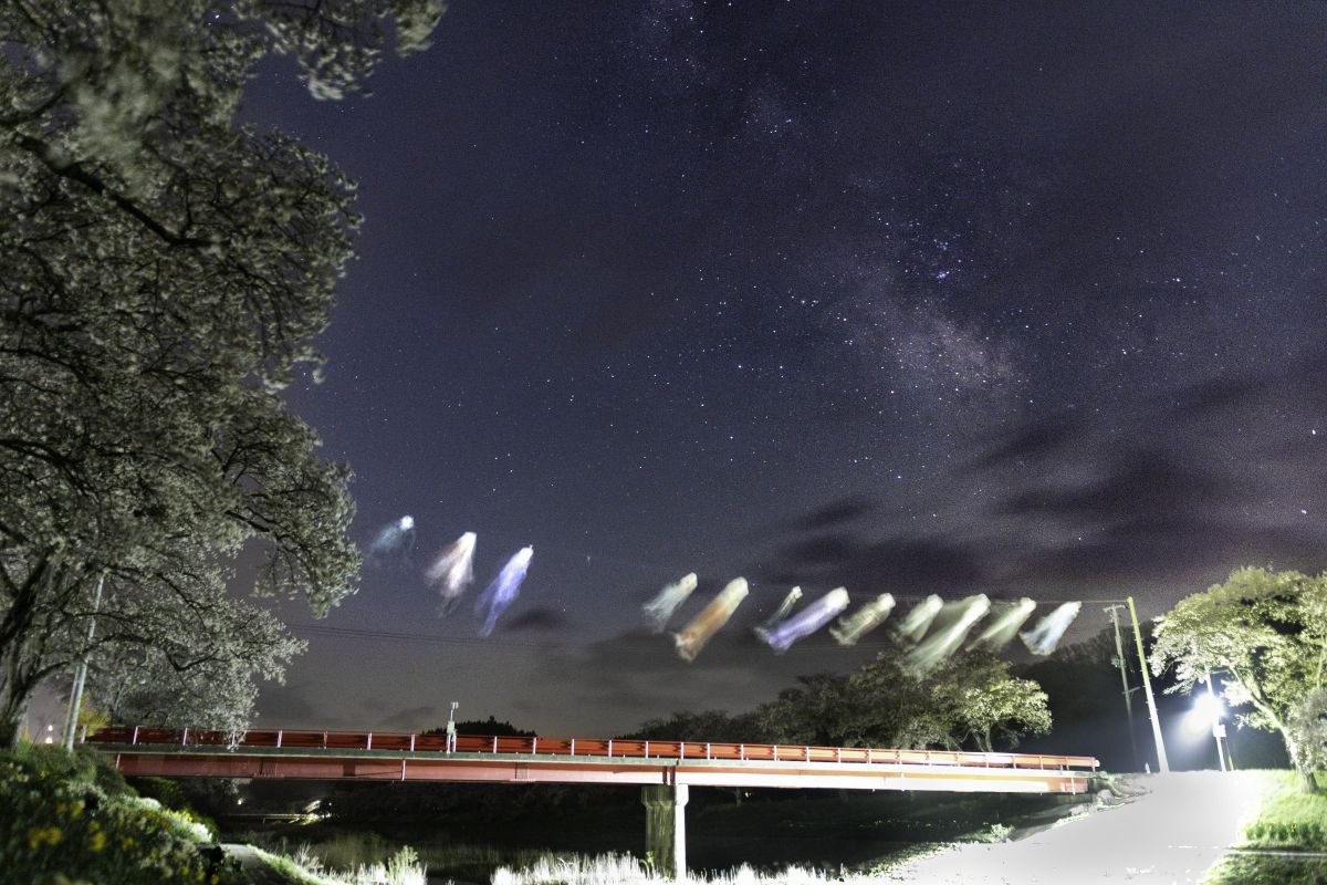 鯉のぼりと千本桜と天の川1 2024.04.20 | GANREF