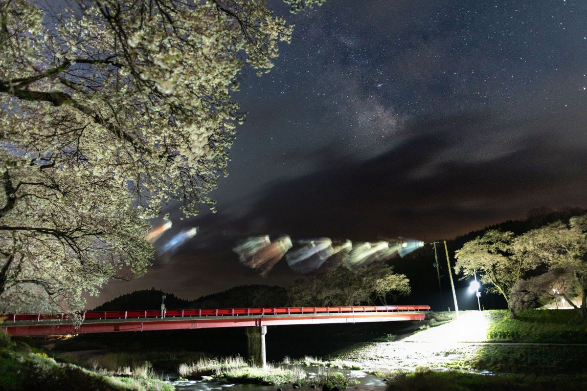 鯉のぼりと千本桜と天の川2 2024.04.20 | GANREF