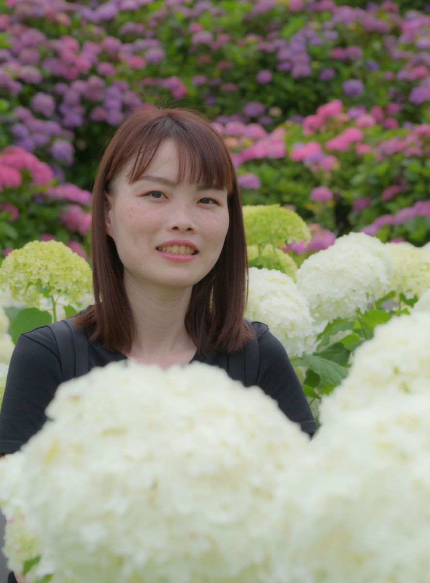 紫陽花の日 2 | GANREF