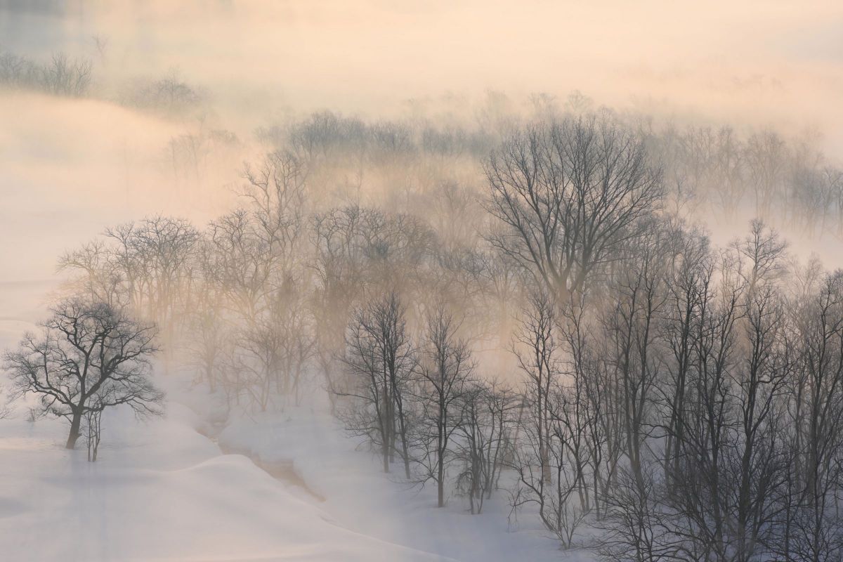 朝日に染まる | GANREF