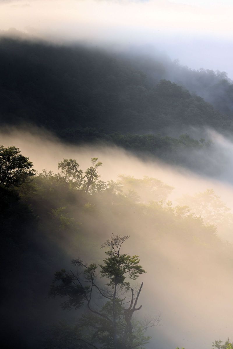 ヒカリ差す時 | GANREF