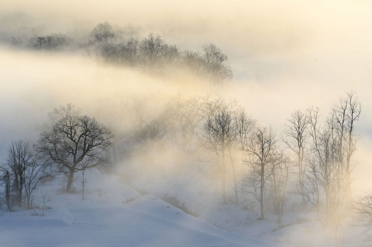 希望の光 | GANREF