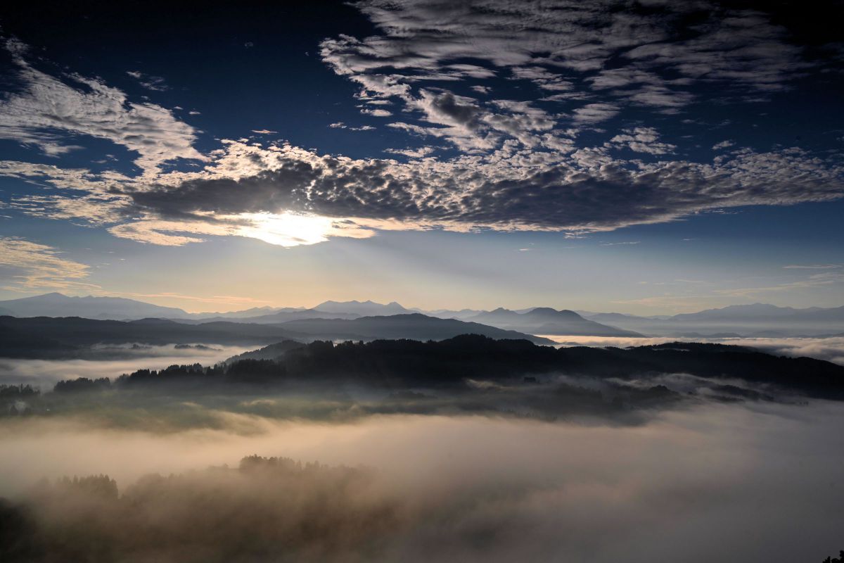 朝のドラマ | GANREF