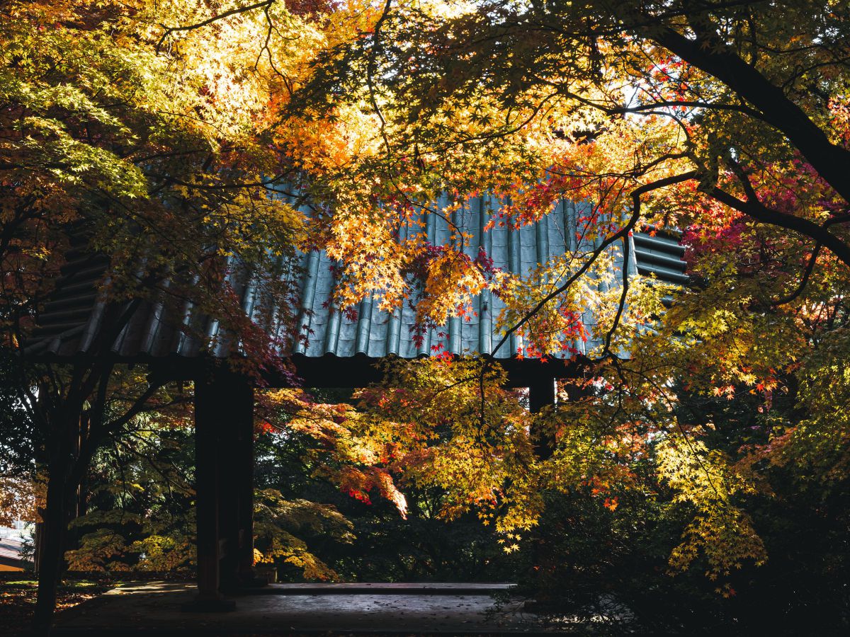 定点観測 | GANREF