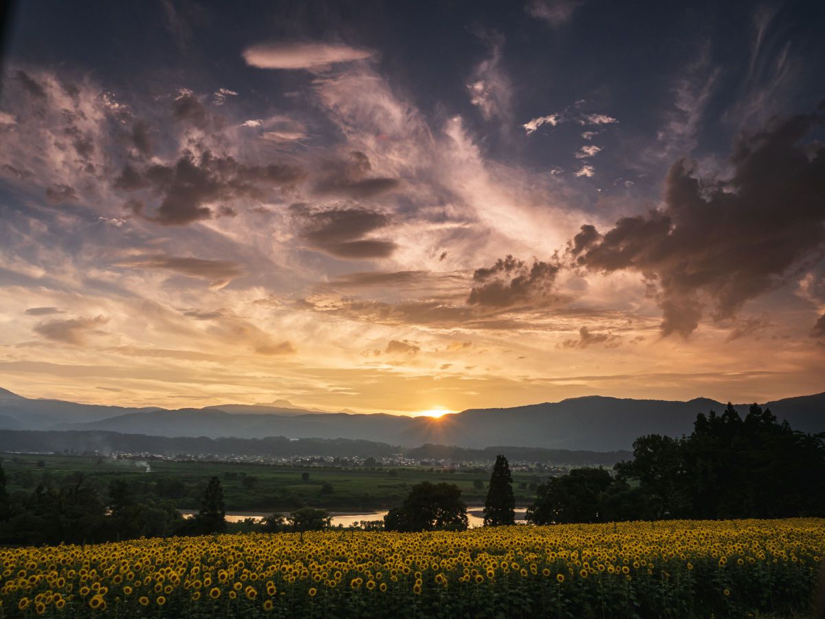 真夏の夕暮れ | GANREF