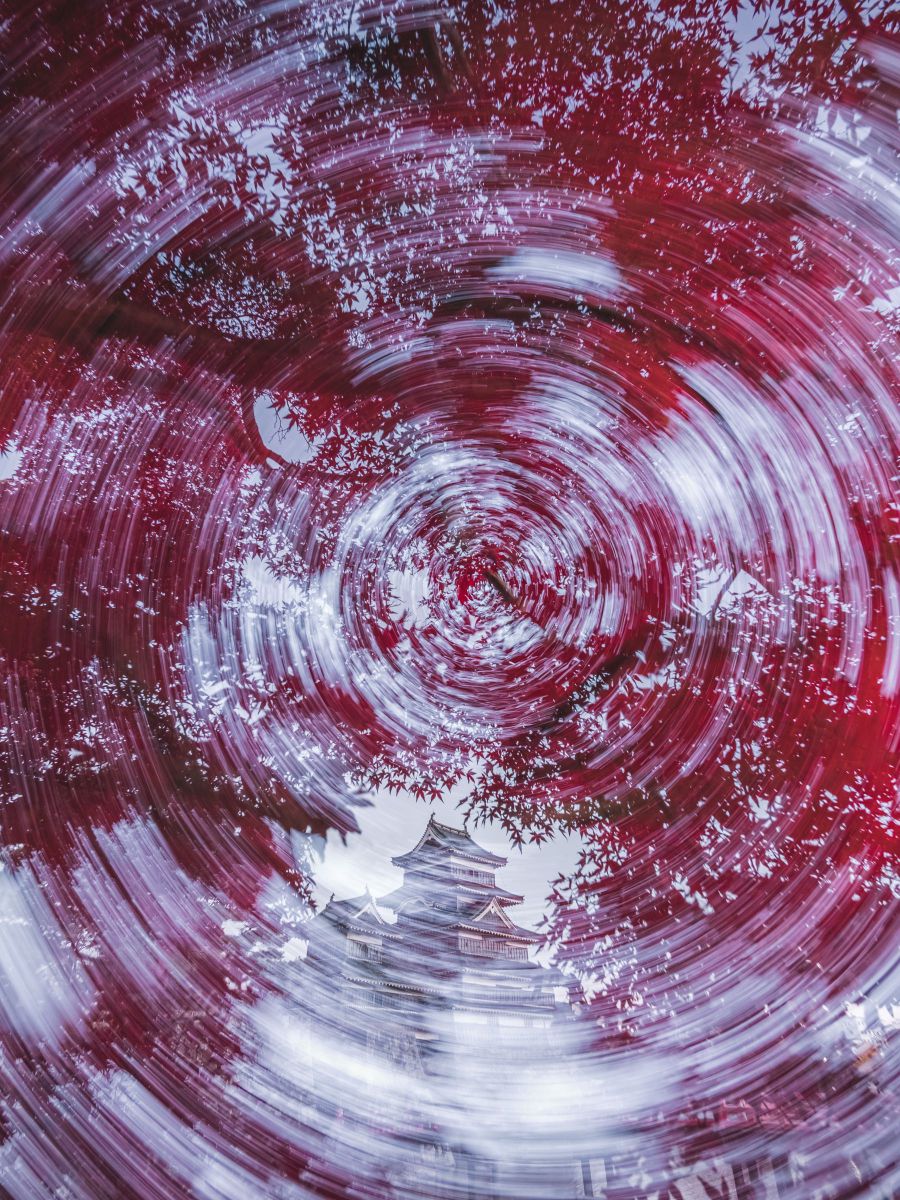 紅葉ぐるぐる | GANREF