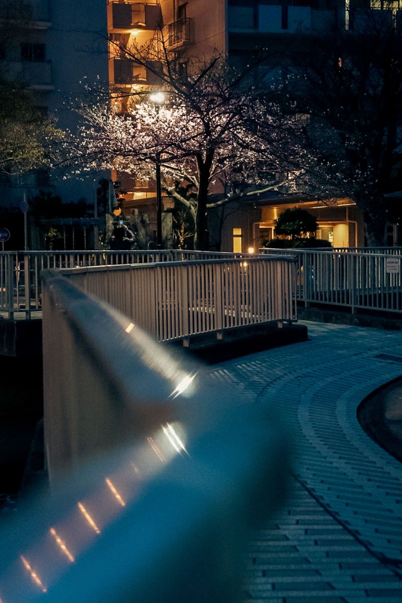 撮ること。 | GANREF