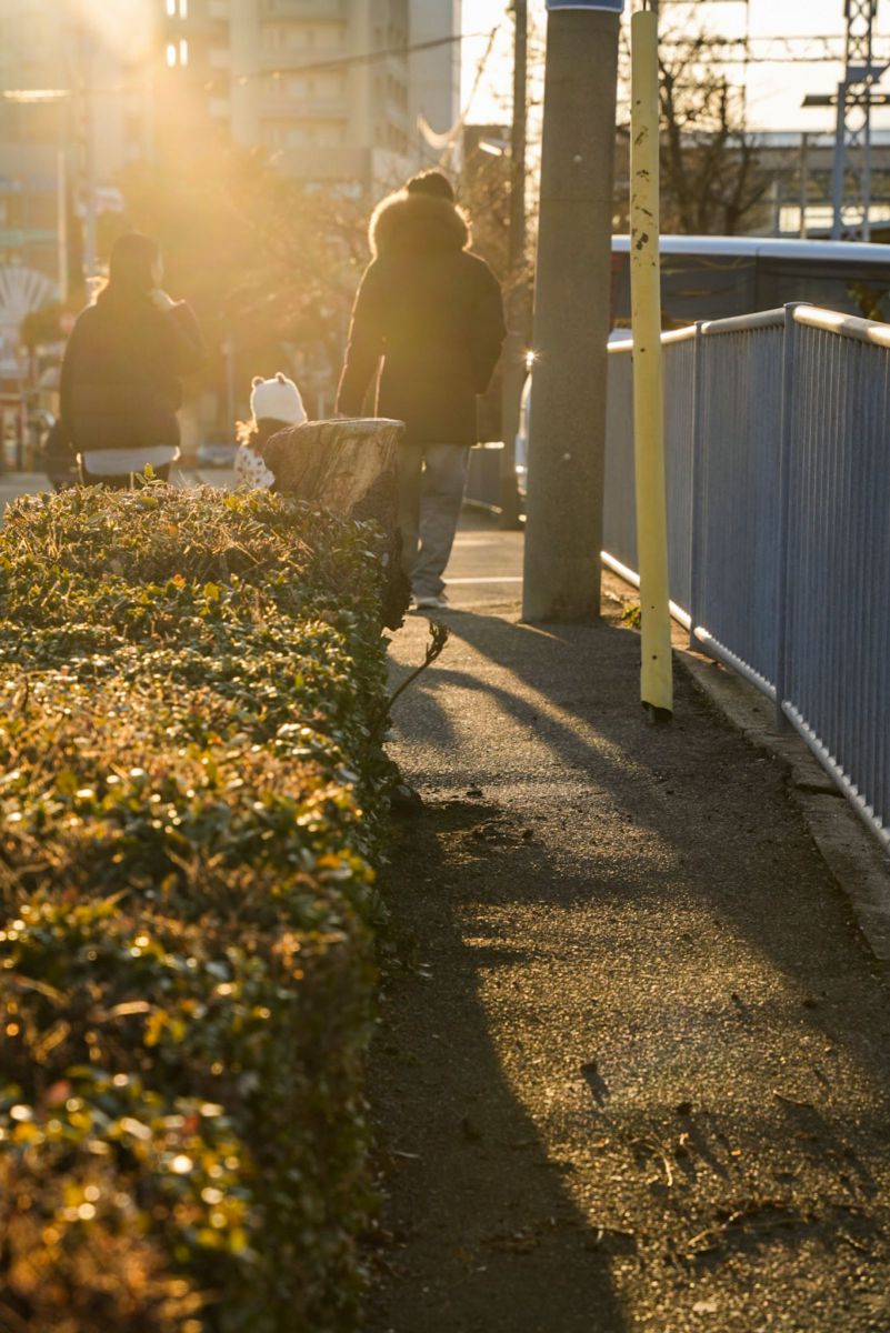 フレア/こころ | GANREF