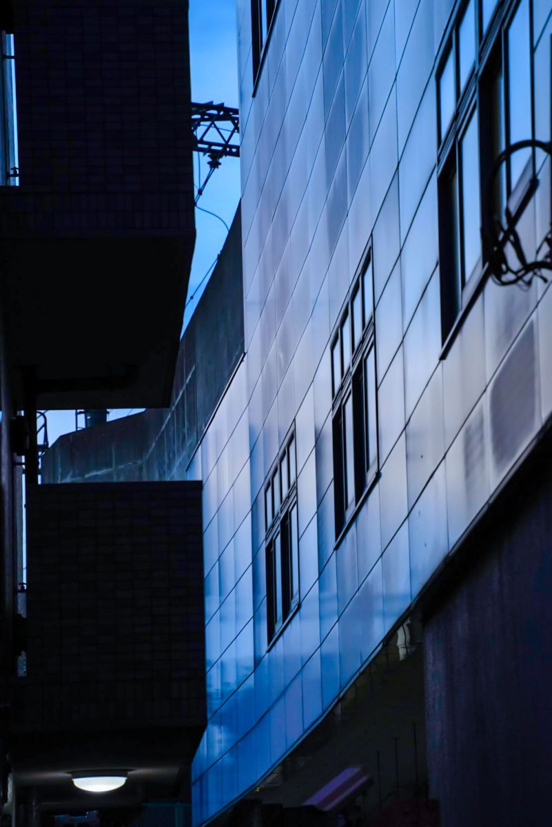 blue/reflection | GANREF