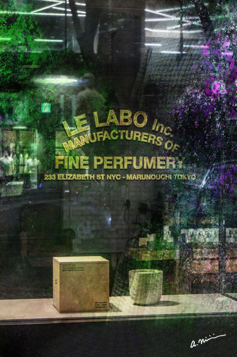 Beautiful Night | GANREF